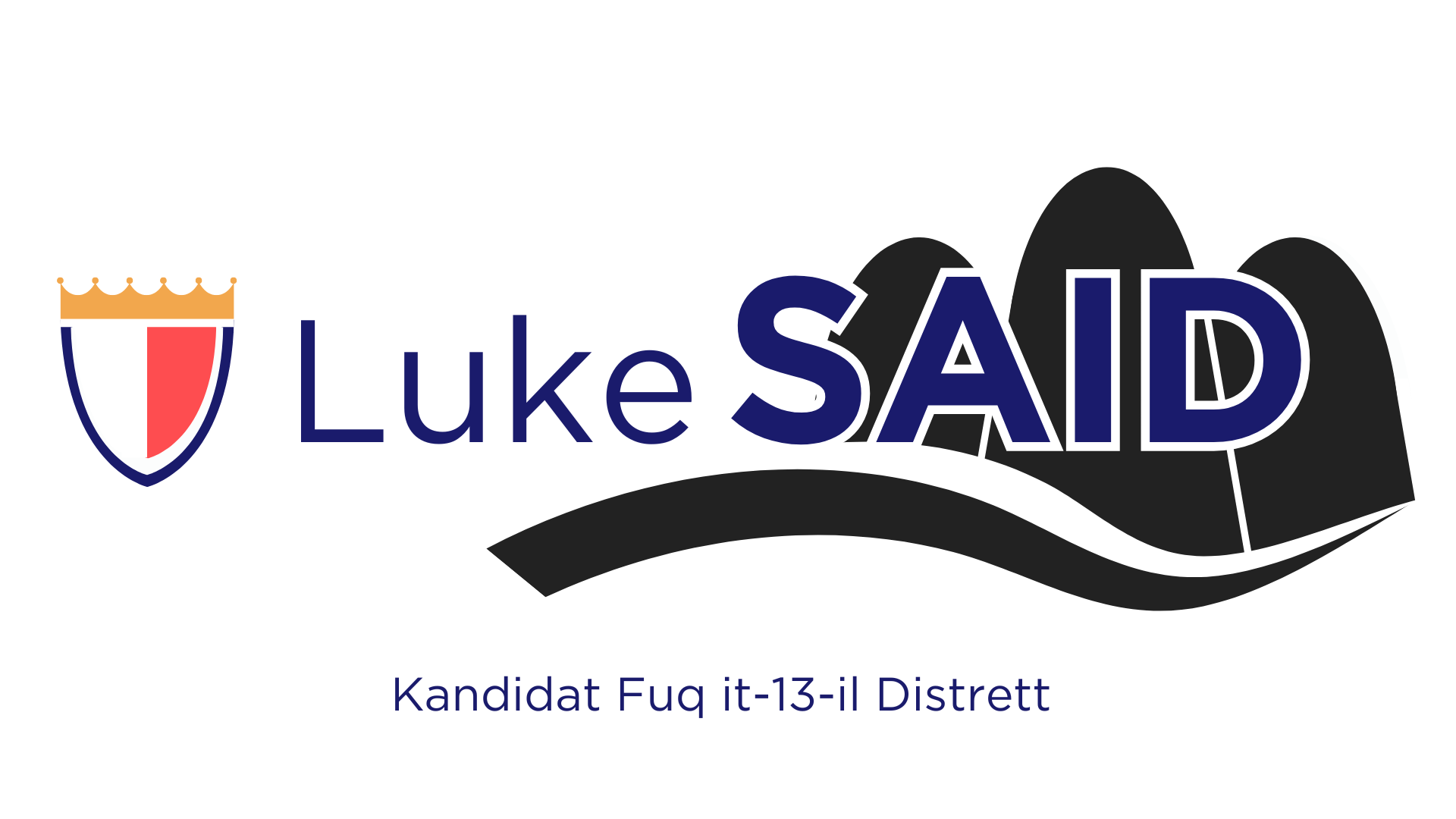 Luke Said | Candidate on the 13th District